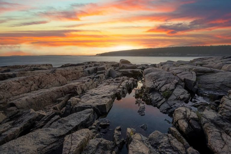 Ocean Path - Acadia National Park