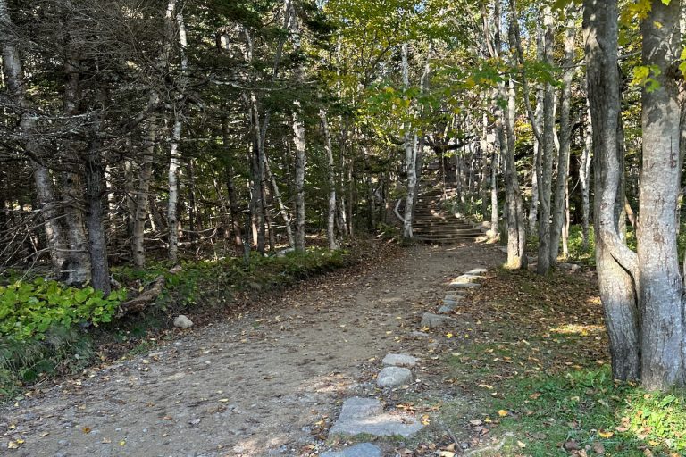 Ocean Path - Acadia National Park