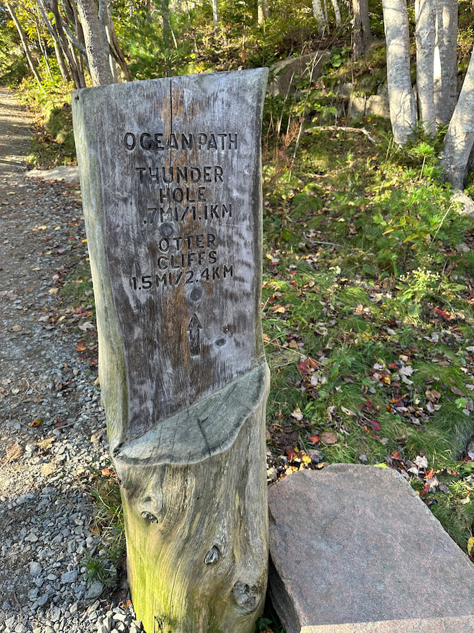 Ocean Path - Acadia National Park