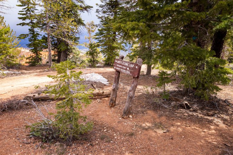 Bristlecone Loop Trail - Bryce Canyon National Park