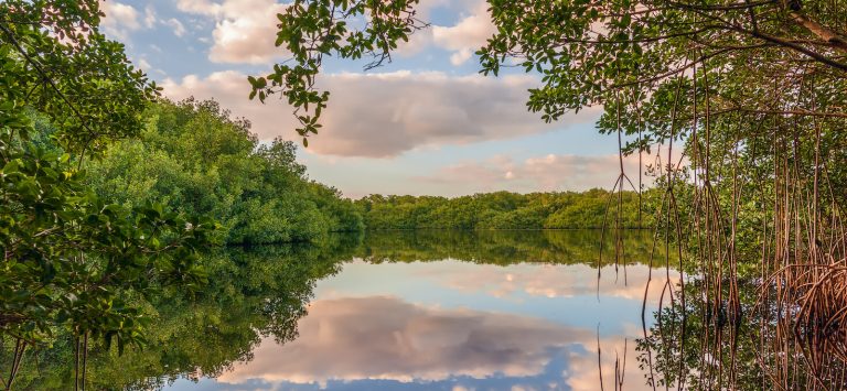 Everglades National Park - Top Photography Locations
