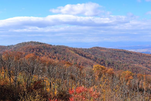 Skyline Drive Overlooks - Shenandoah National Park