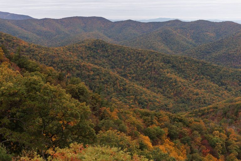 Skyline Drive Overlooks - Shenandoah National Park
