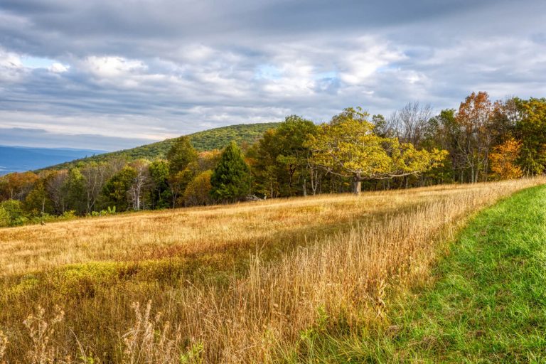 Skyline Drive Overlooks - Shenandoah National Park